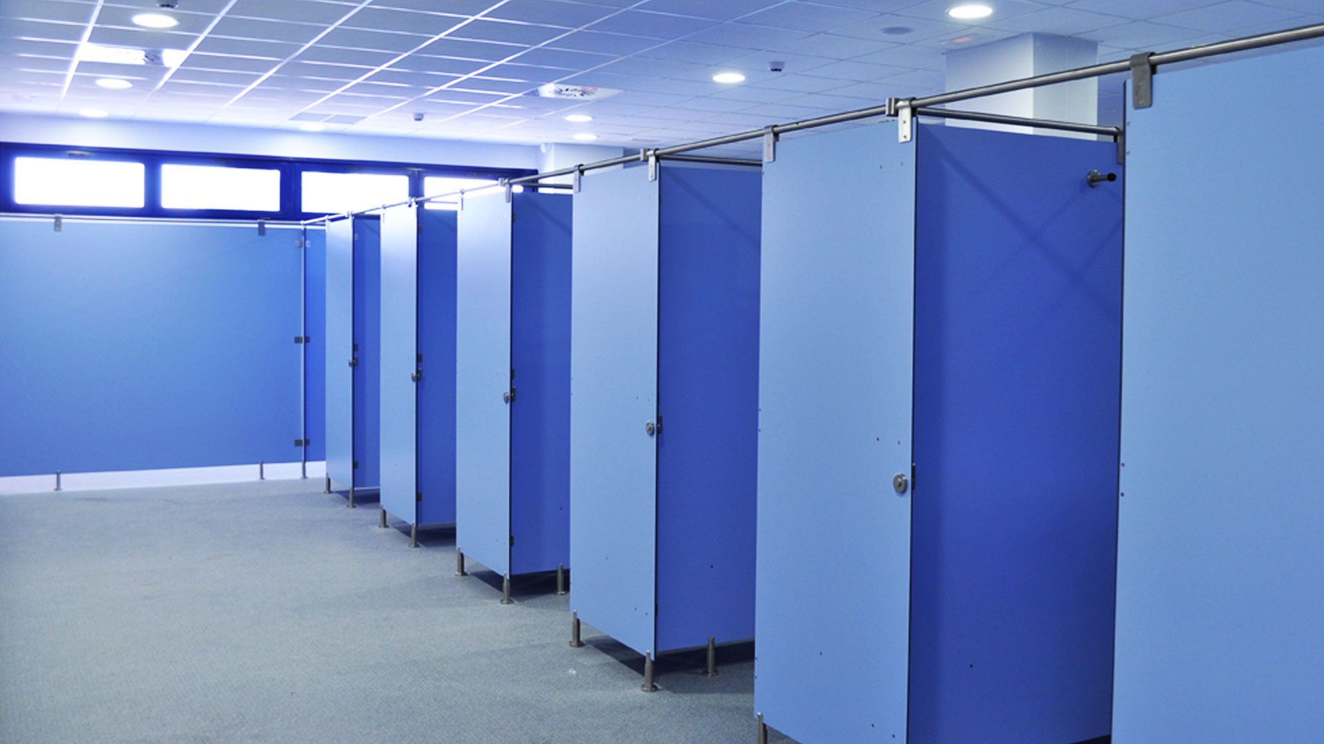 ¡Utilización y ventajas del fenólico! | La Carlota Maderas®